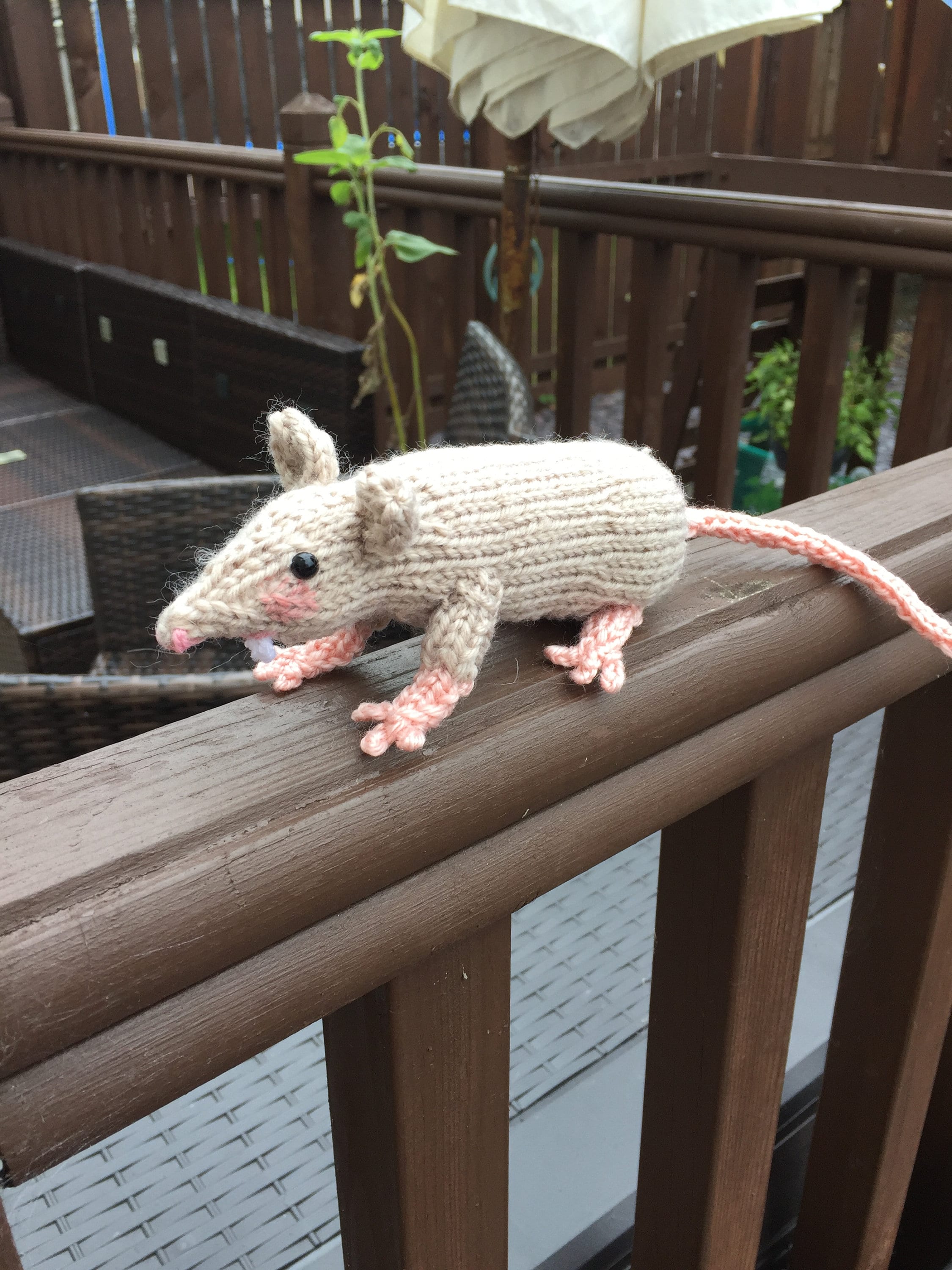 Little Raymond Rat Knitting Pattern - Etsy