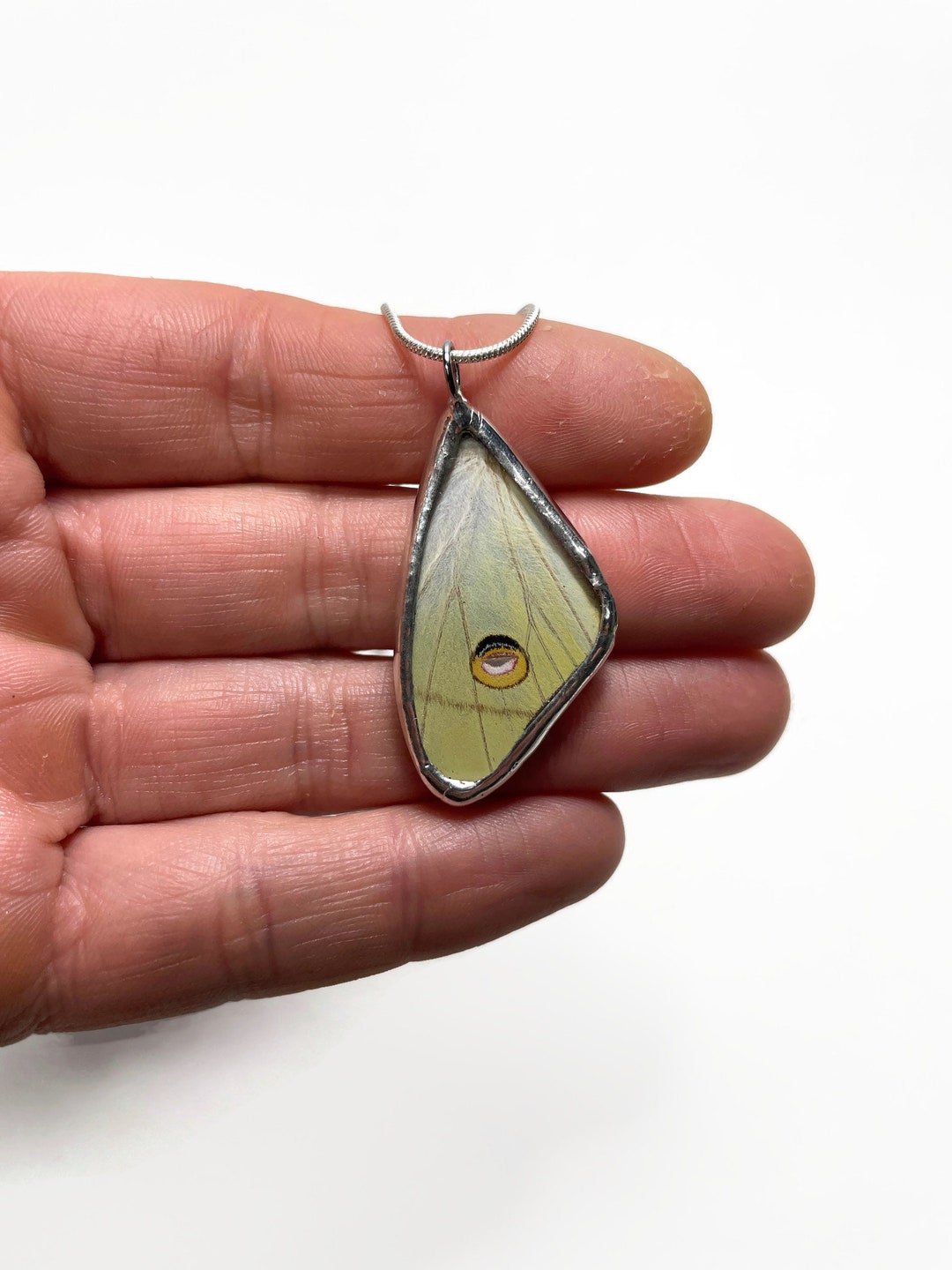 Butterfly Necklace, Luna Moth Pendant, Insect Pendant, Real Moth Wing ...