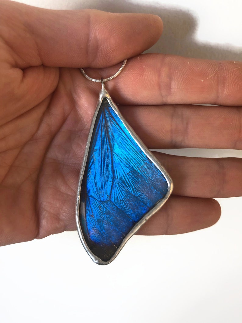 Real Butterfly Wing Necklace Blue Morpho Pendant | Etsy