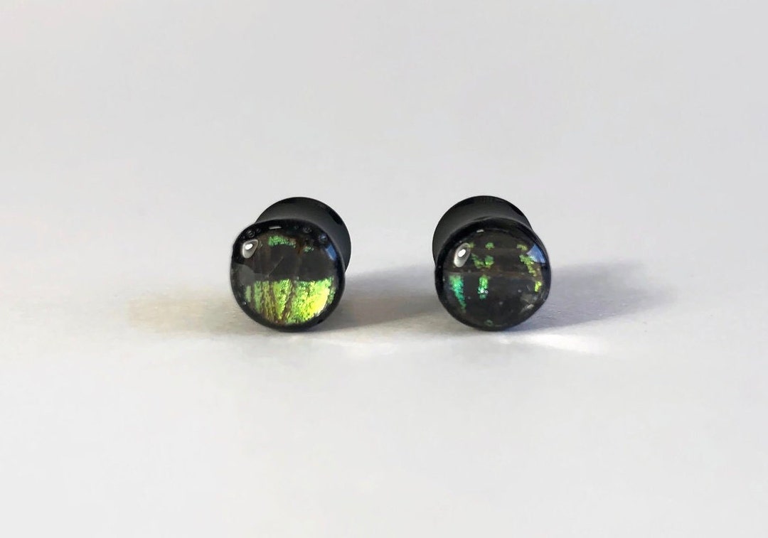 Real Moth Wing Ear Plugs 16mm, Rainbow Sunset Moth, Body Jewelry ...