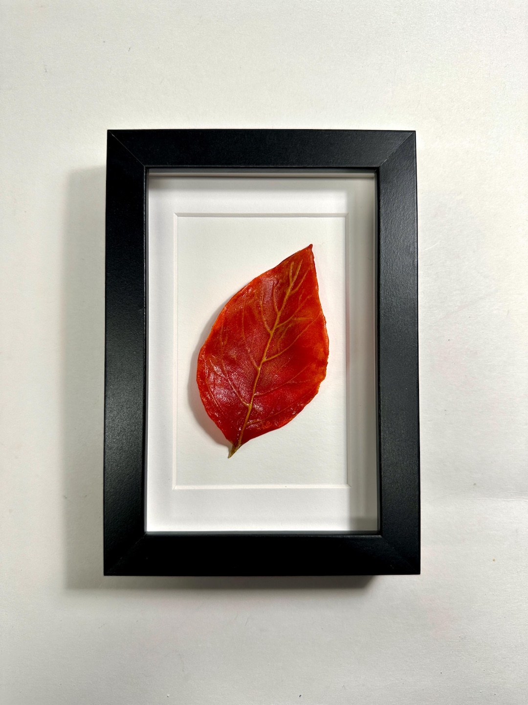 Fused Glass Leaf, Nature Wall Art, Fall Picture, Gifts for Her, Tree ...