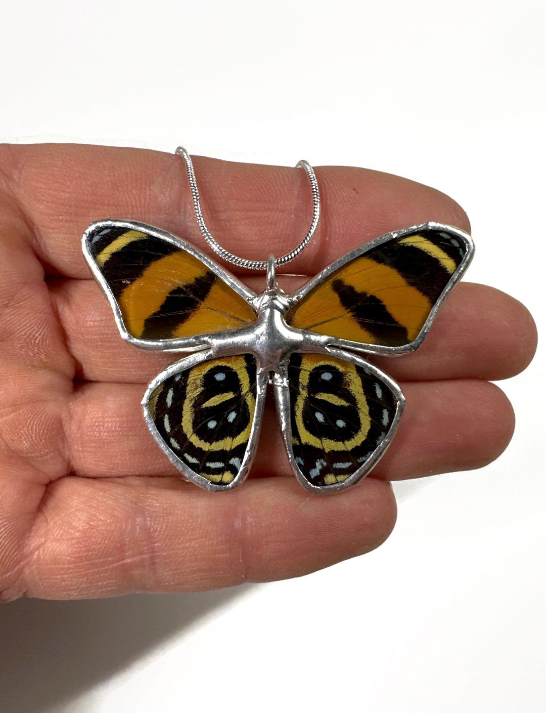 Butterfly Necklace, Real Butterfly Wing Jewelry, Recycled Glass Pendant ...