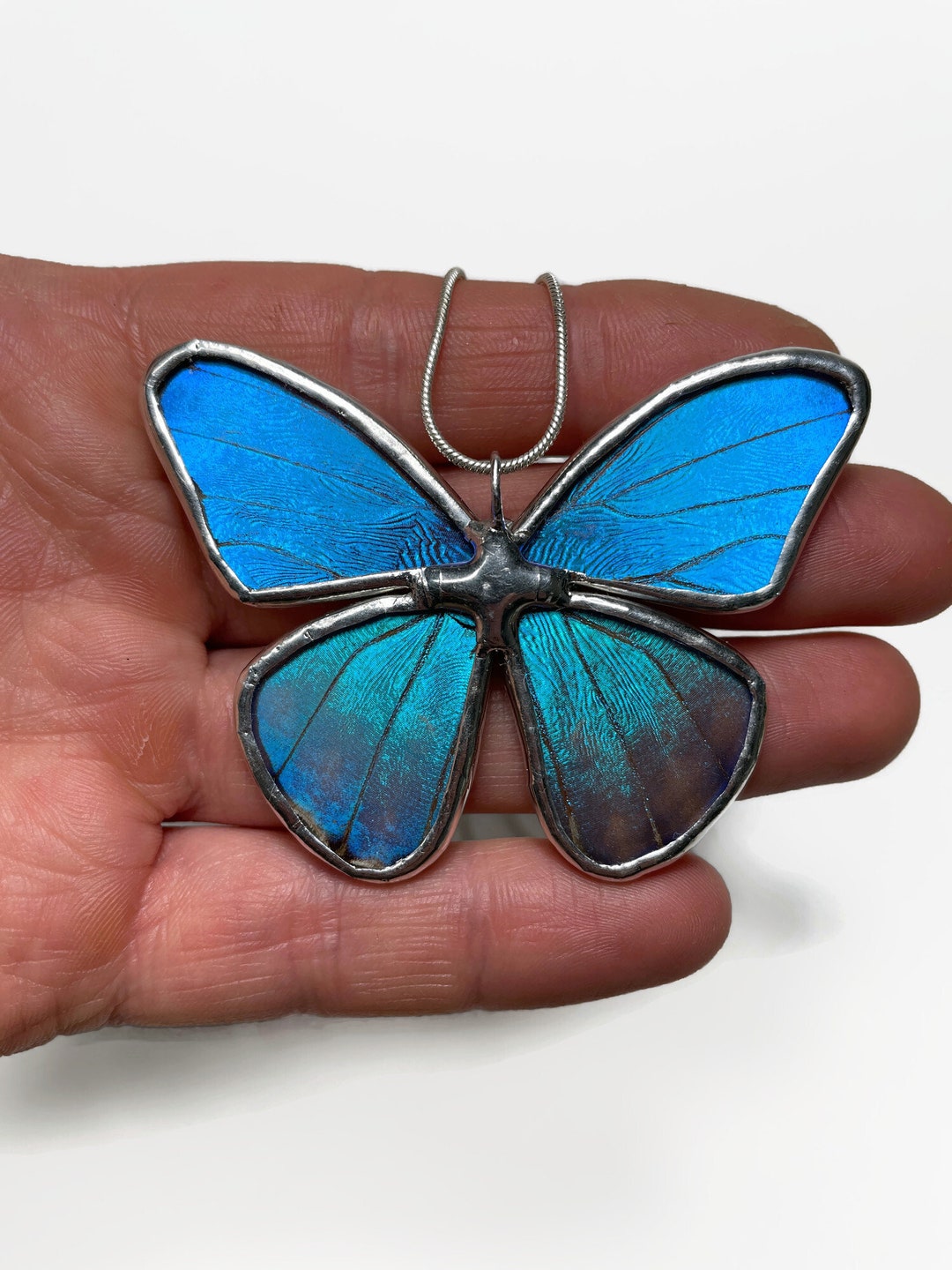 Blue Iridescent Butterfly Necklace, Real Blue Morph Butterfly Jewelry ...