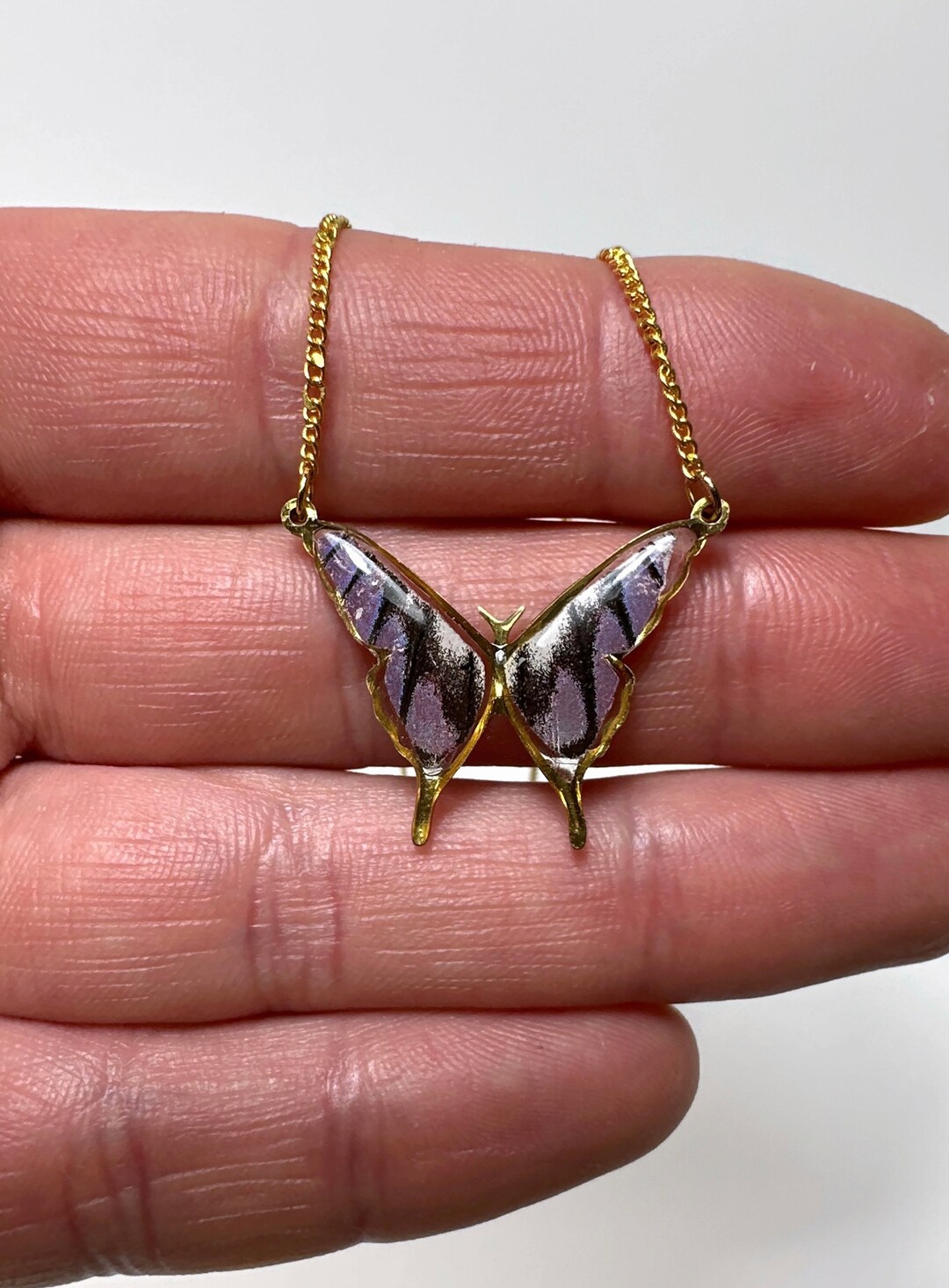 Purple Pendant, Iridescent, Real Butterfly Wing Jewelry, Colotis Regina ...
