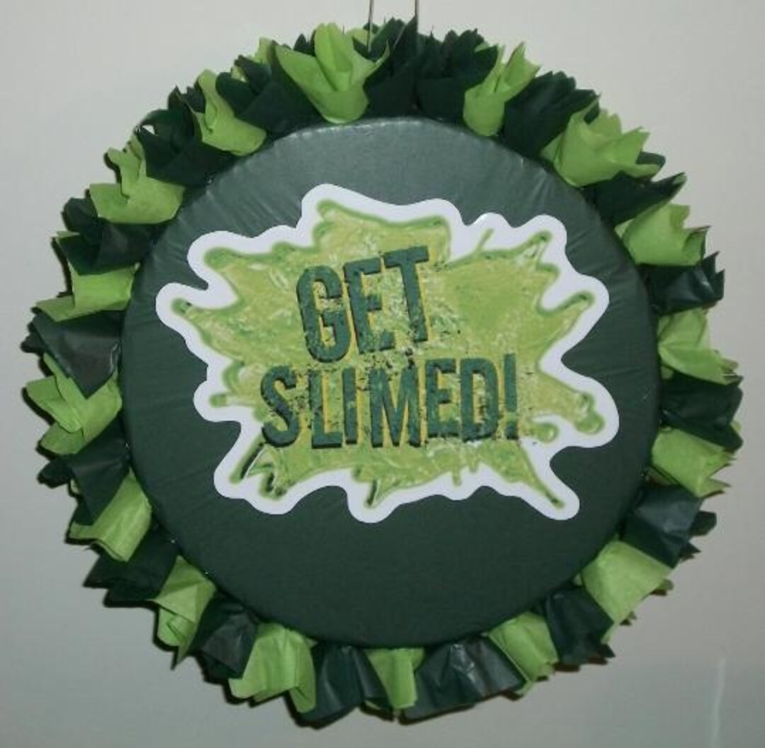 Get Slimed Hit Pinata - Etsy