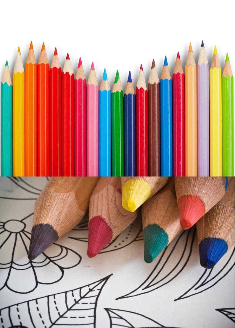 My Pet Friends Coloring Book | 10 Adorable Pet Printable Coloring Book ...