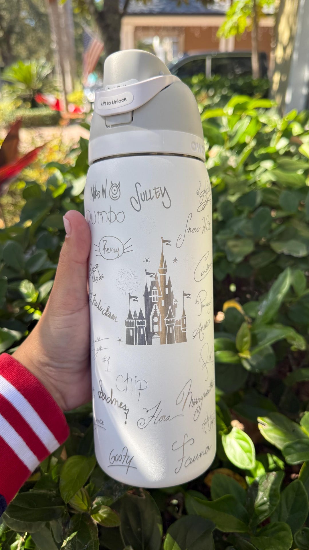 Custom Owala 24oz/ 32oz /40oz Water Bottle – Laser Engraved Character ...