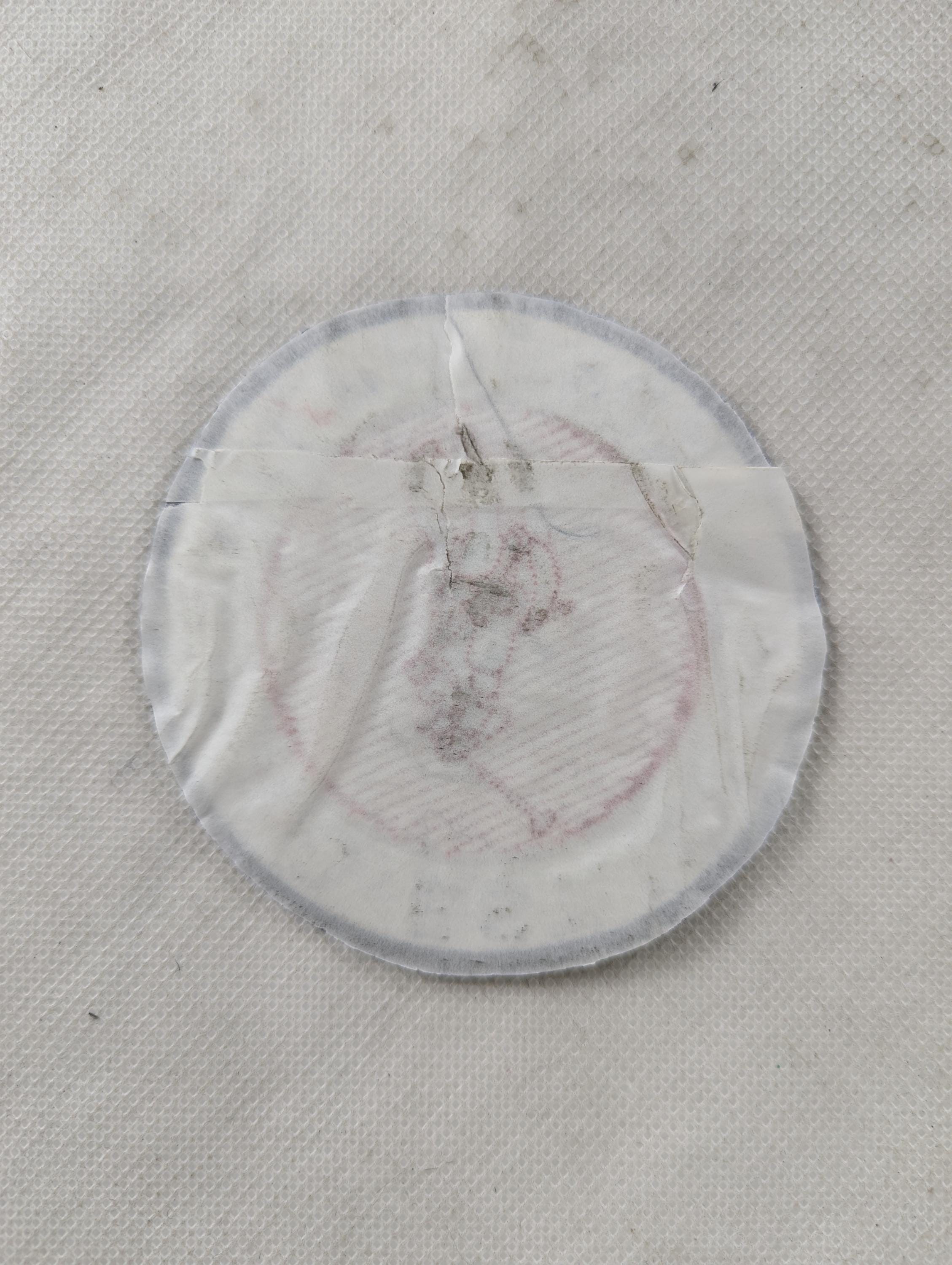 Polo Ralph Lauren Patch Iron-on/sew-on Embroidered 3.5" - Etsy