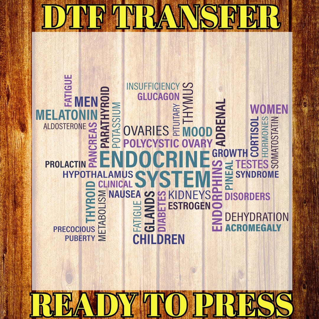 Endocrine System DTF Transfer, Medical Themed Heat Transfer ...
