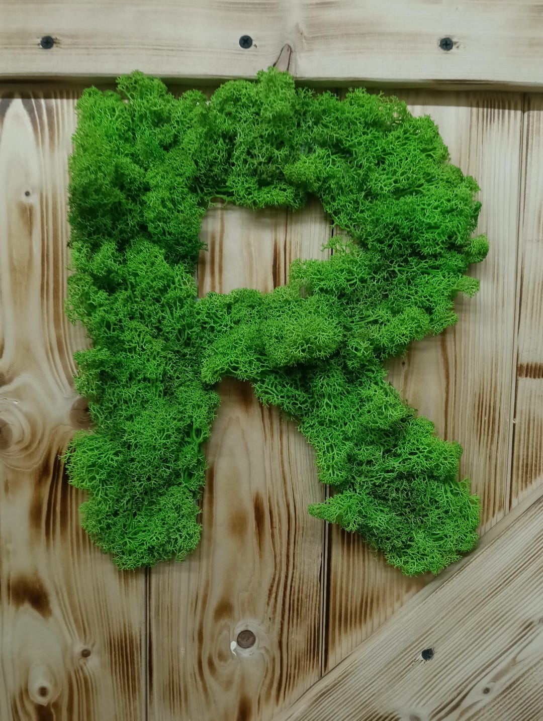 Custom Moss Letter Decor for Door or Living Room, Personalized Size and ...