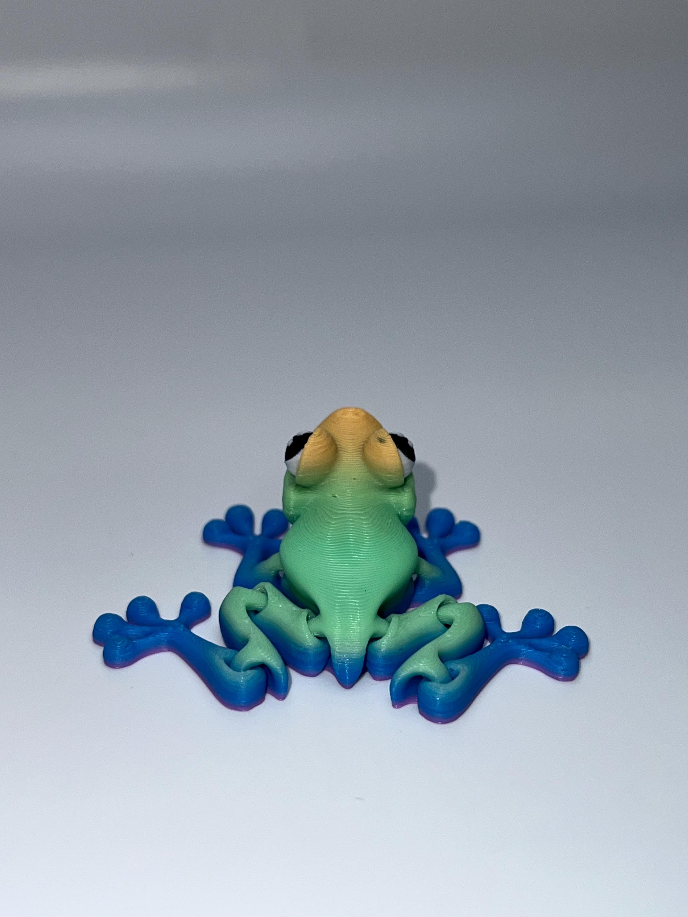 Colorful 3d Printed Articulated Frog. - Etsy