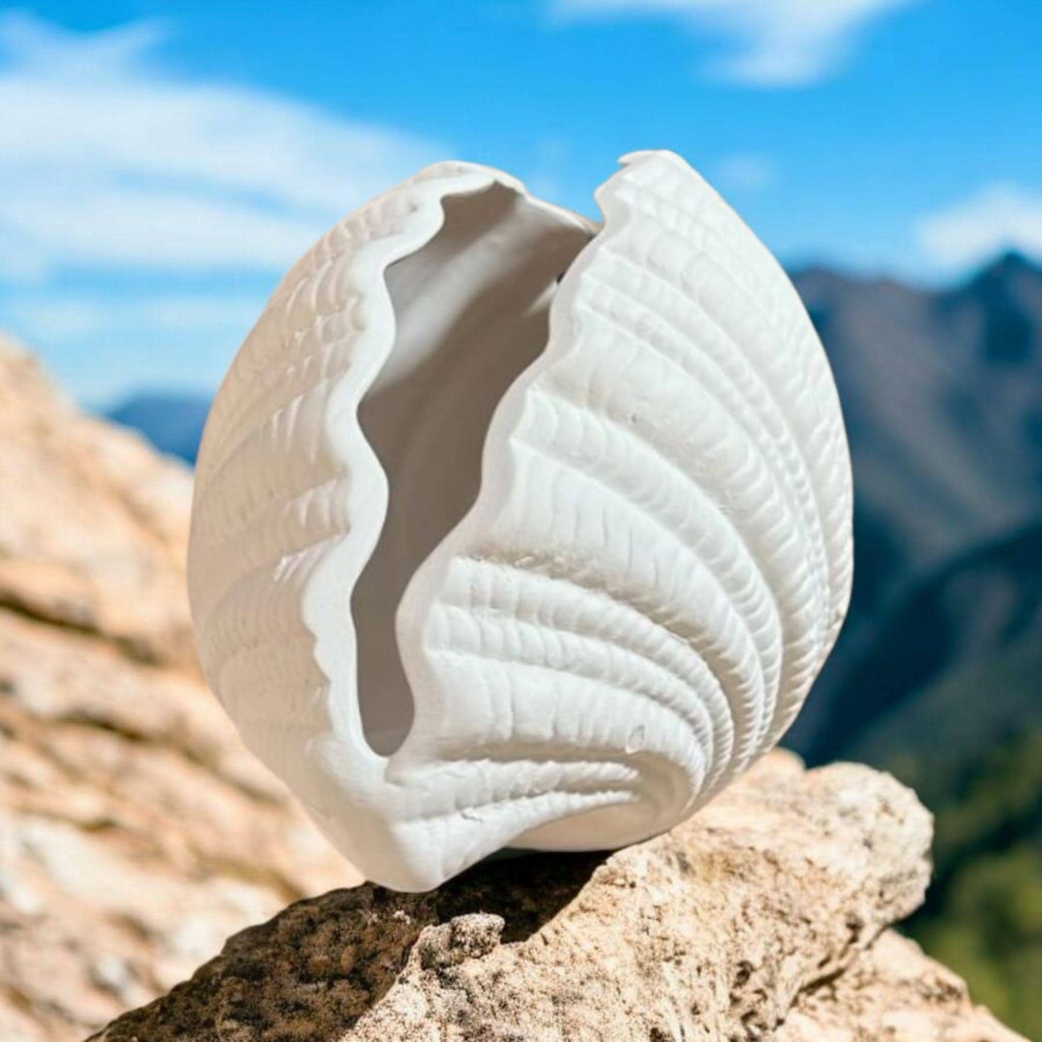 Ceramic Seashell Vase, Coastal Decor, Shell Shaped Vase, Beach Style ...