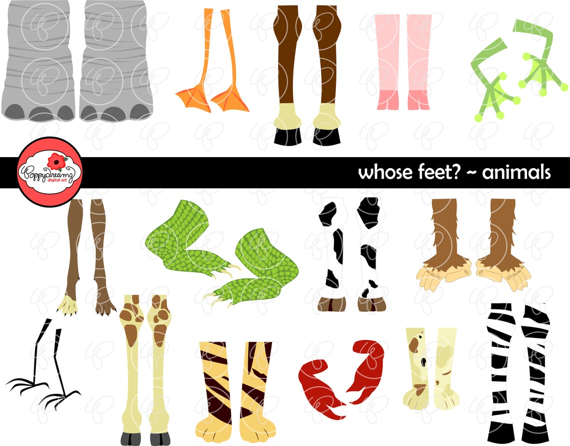 Whose Feet : Animal Digital Clipart Pack (300 Dpi) Elephant Zebra Dog ...