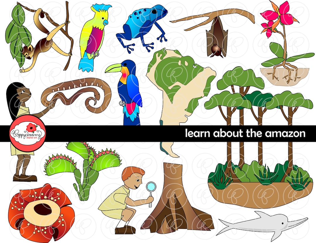 Learning About the Amazon Rainforest: Clip Art Pack (300 Dpi) Digital ...