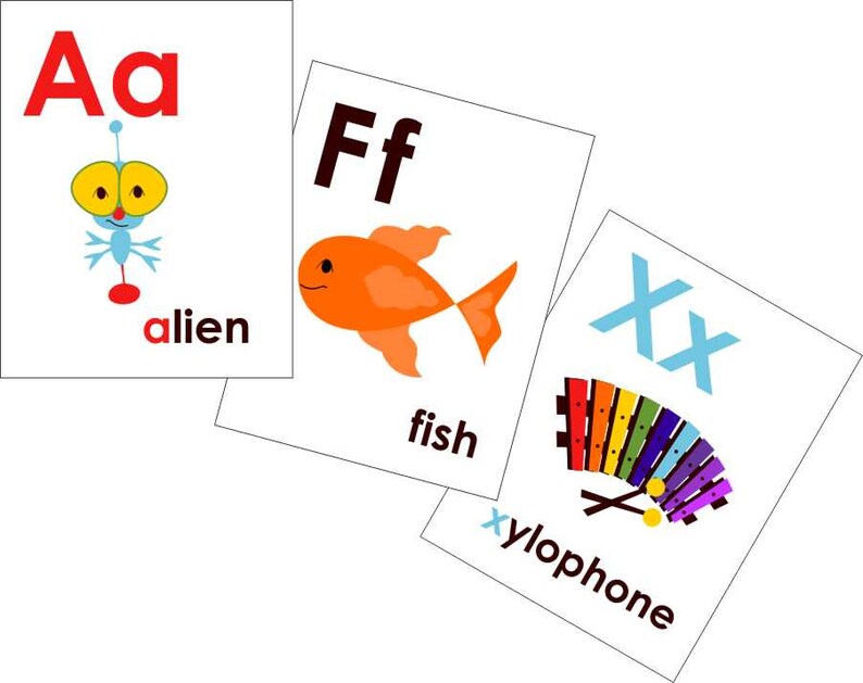 Teaching Phonics Clipart & Digital Flashcards: Digital Image Set (300 ...