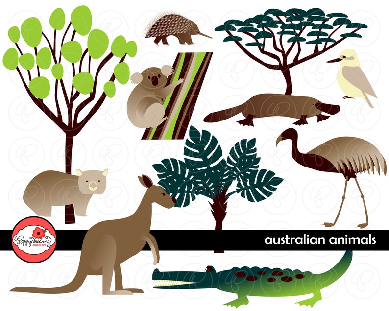 Australian Animals and Trees: Digital Clipart Set (300 Dpi) Koala ...