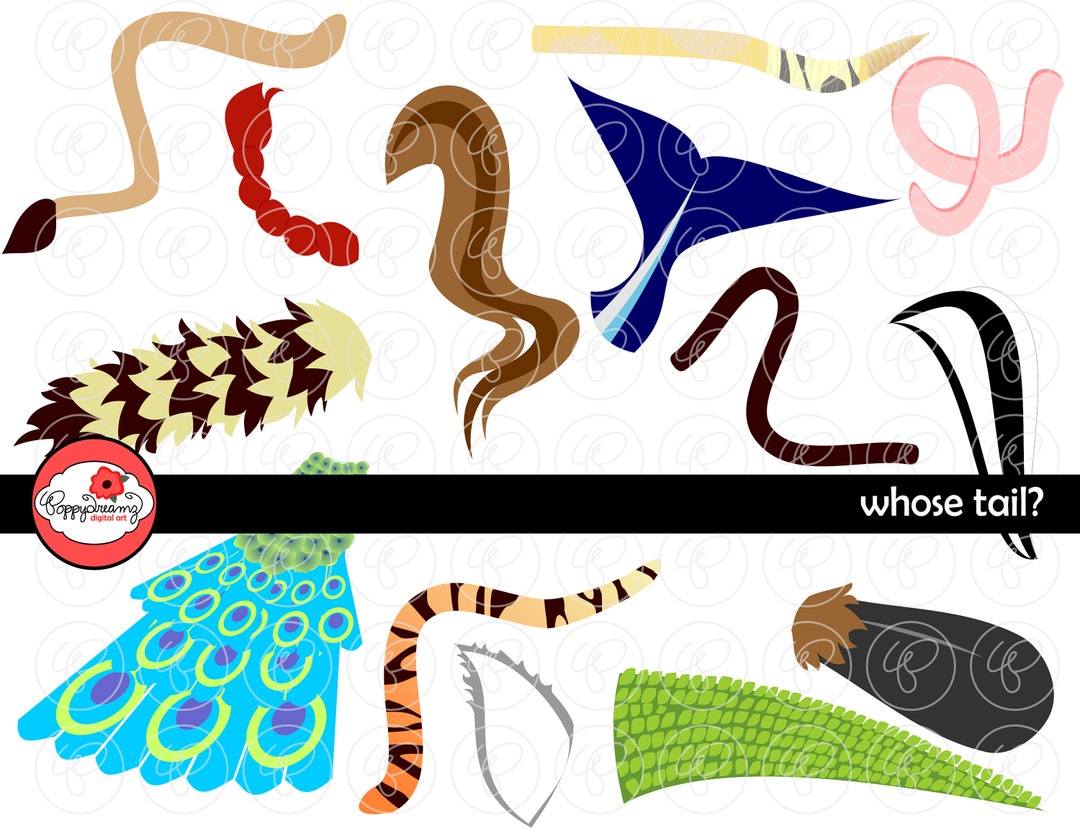 Whose Tail: Animal Digital Clipart Pack (300 Dpi) Tiger Alligator Horse ...