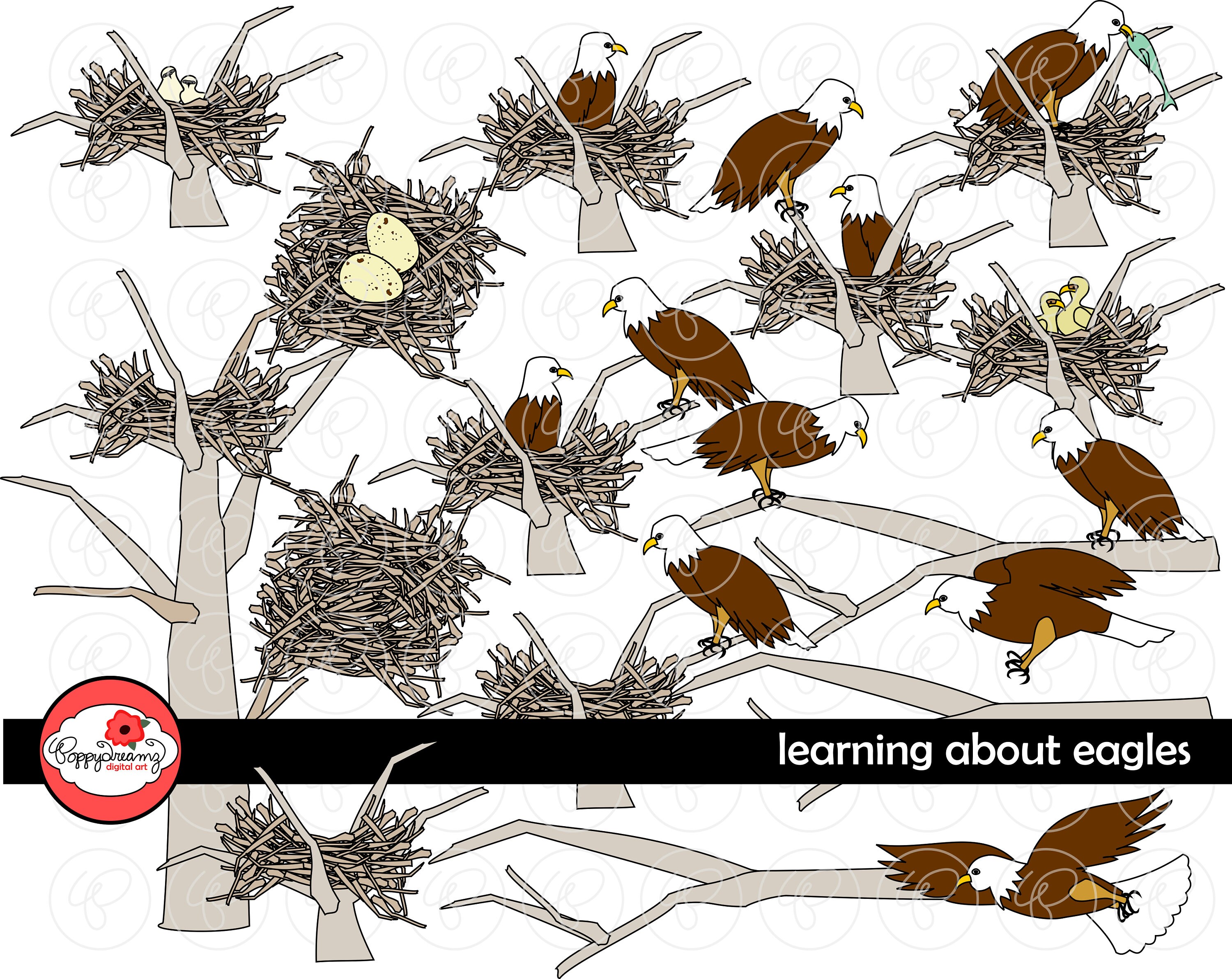 Classroom Clipart Eagle