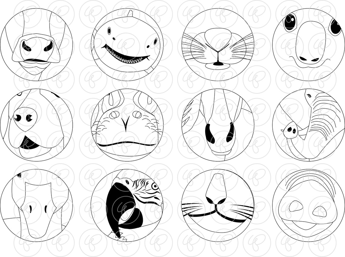 Whose Nose : Animal Digital Clipart Pack (300 Dpi) Elephant Dog Cat ...