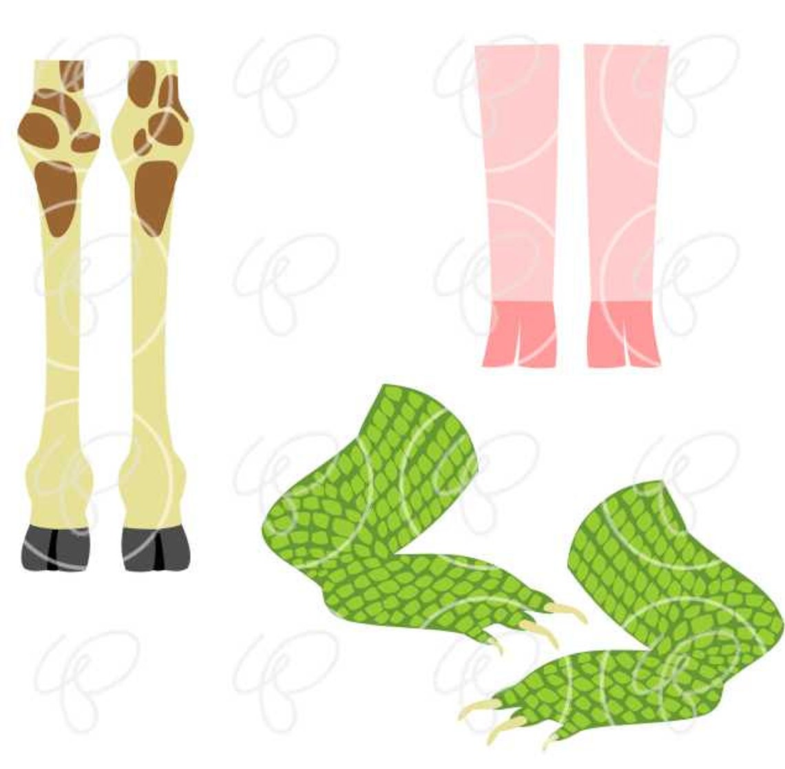 Whose Feet : Animal Digital Clipart Pack (300 Dpi) Elephant Zebra Dog ...