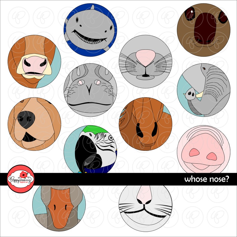 Whose Nose : Animal Digital Clipart Pack 300 Dpi Elephant Dog Cat Duck ...