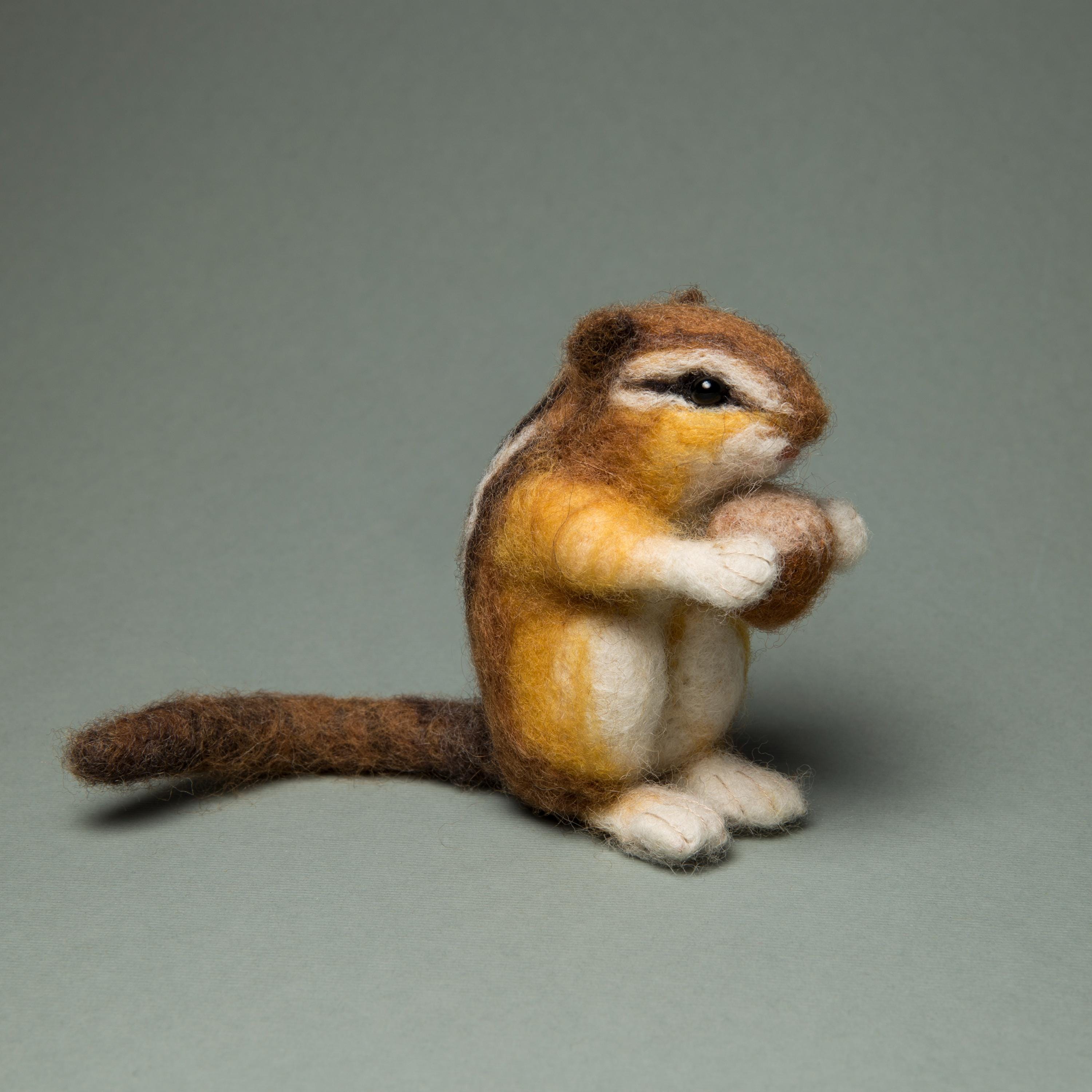 Chipmunk Needle Felting Kit – Beginner DIY Craft, Wool Decor - Etsy