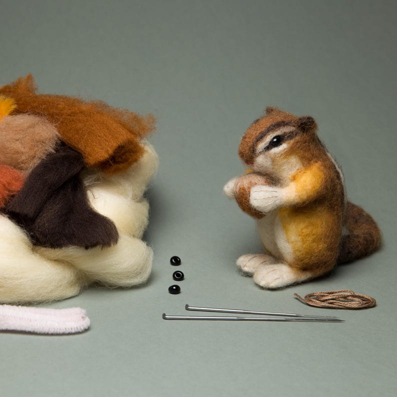 Chipmunk Needle Felting Kit – Beginner DIY Craft, Wool Decor - Etsy