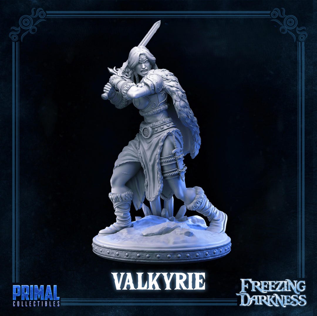 Barbarian - Valkyrie - FREEZING DARKNESS - Masters of Dungeons ...