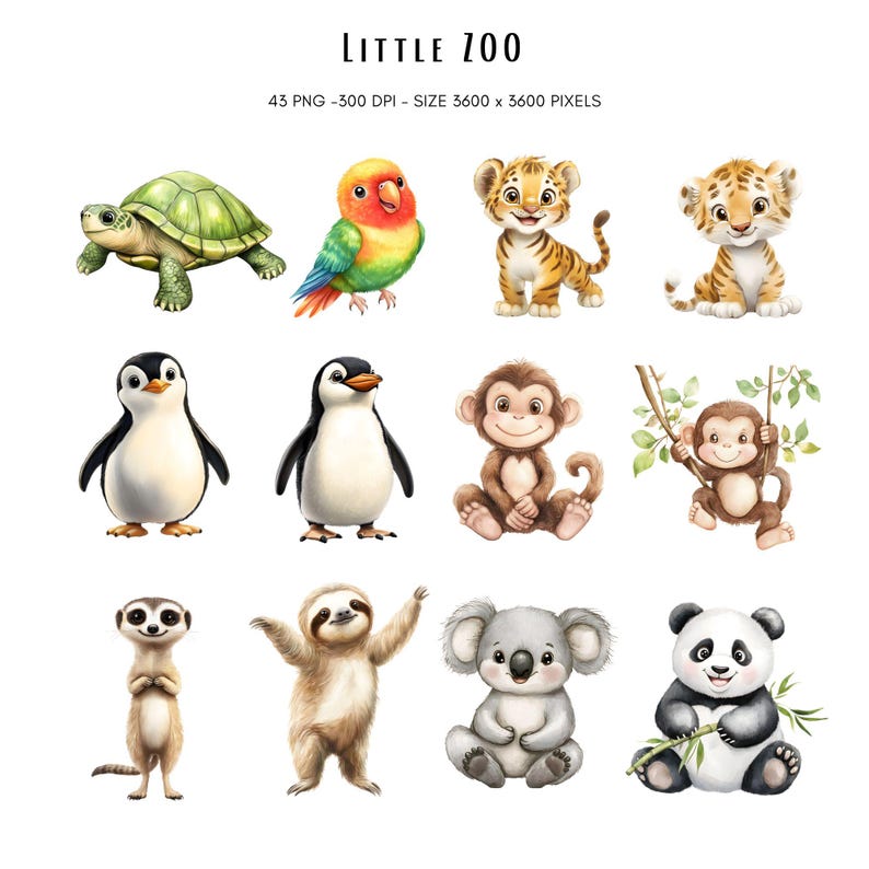 Zoo Watercolor Clipart Bundle | Cute Safari Jungle Animals PNG | Baby ...