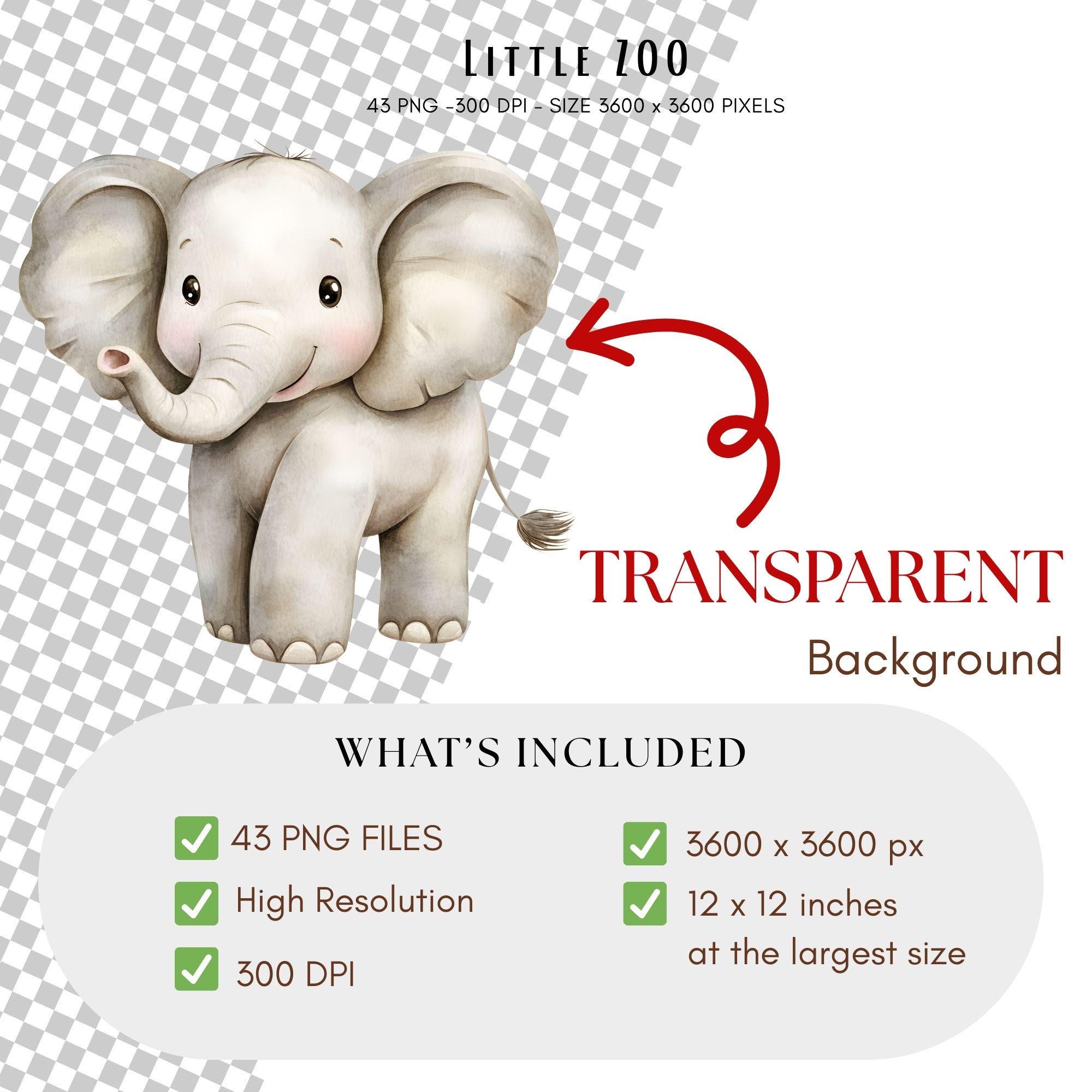 Zoo Watercolor Clipart Bundle | Cute Safari Jungle Animals PNG | Baby ...