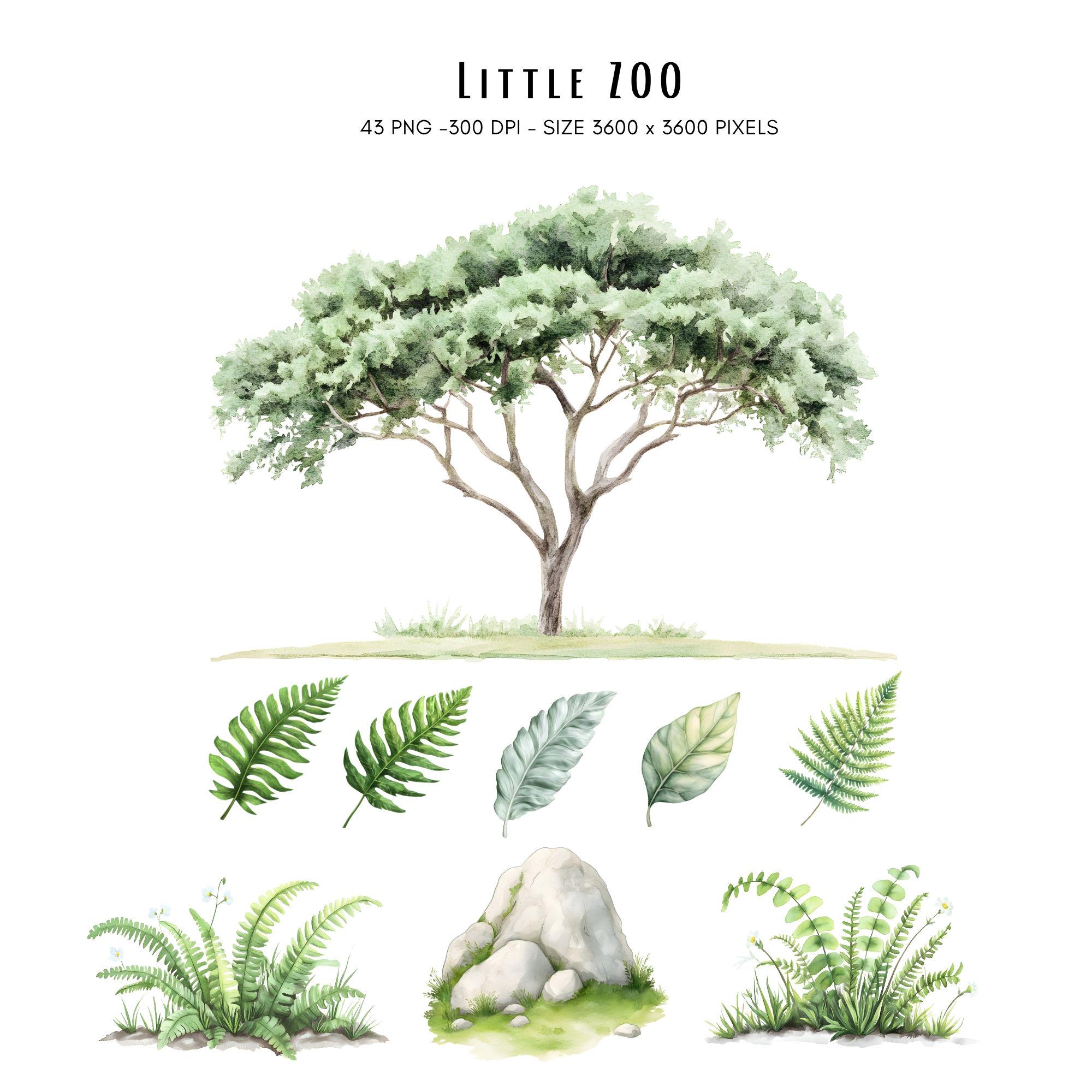 Zoo Watercolor Clipart Bundle | Cute Safari Jungle Animals PNG | Baby ...