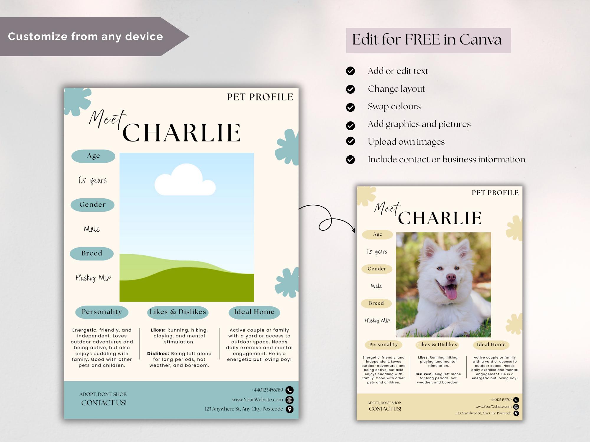 Pet Profile Template, Dog Adoption Flyer, Pet Rescue Flyer, Cat ...