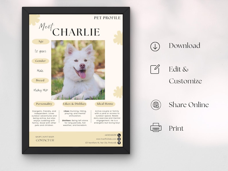 Pet Profile Template, Dog Adoption Flyer, Pet Rescue Flyer, Cat ...