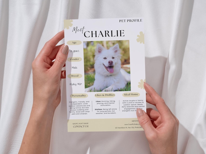 Pet Profile Template, Dog Adoption Flyer, Pet Rescue Flyer, Cat ...
