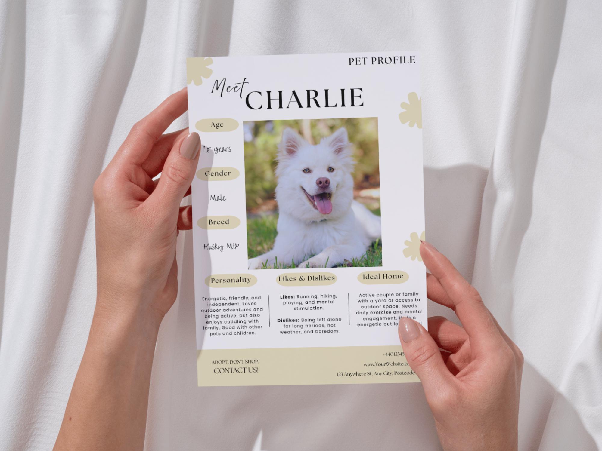Pet Profile Template, Dog Adoption Flyer, Pet Rescue Flyer, Cat ...