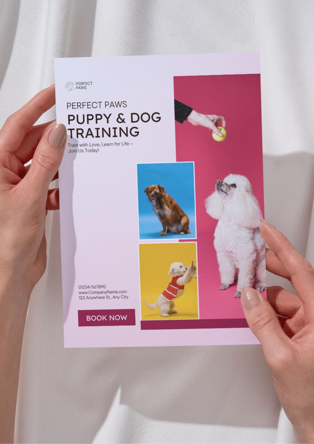 Dog Training Flyer, Puppy Training Poster, Canine Training Canva ...