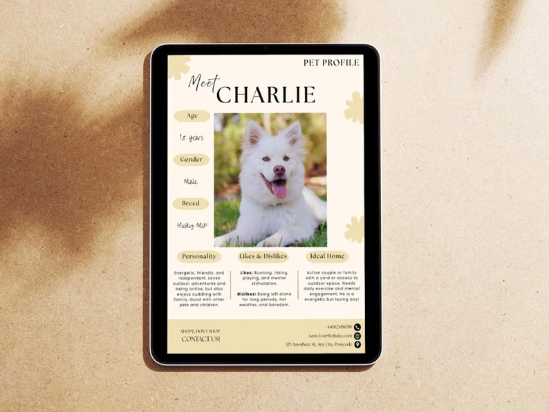 Pet Profile Template, Dog Adoption Flyer, Pet Rescue Flyer, Cat ...