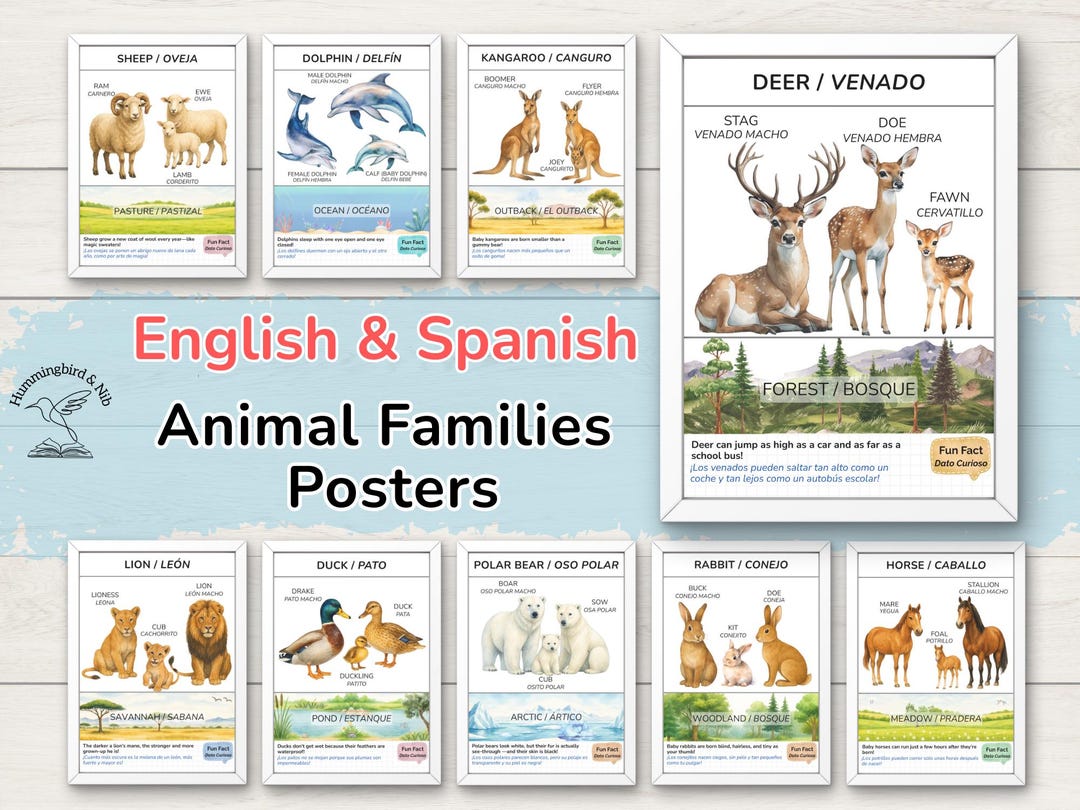 Bilingual Animal Family Posters | English-spanish Classroom Decor | Set ...