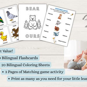 Bilingual French English Flashcards & Activities Pack | Printable for ...