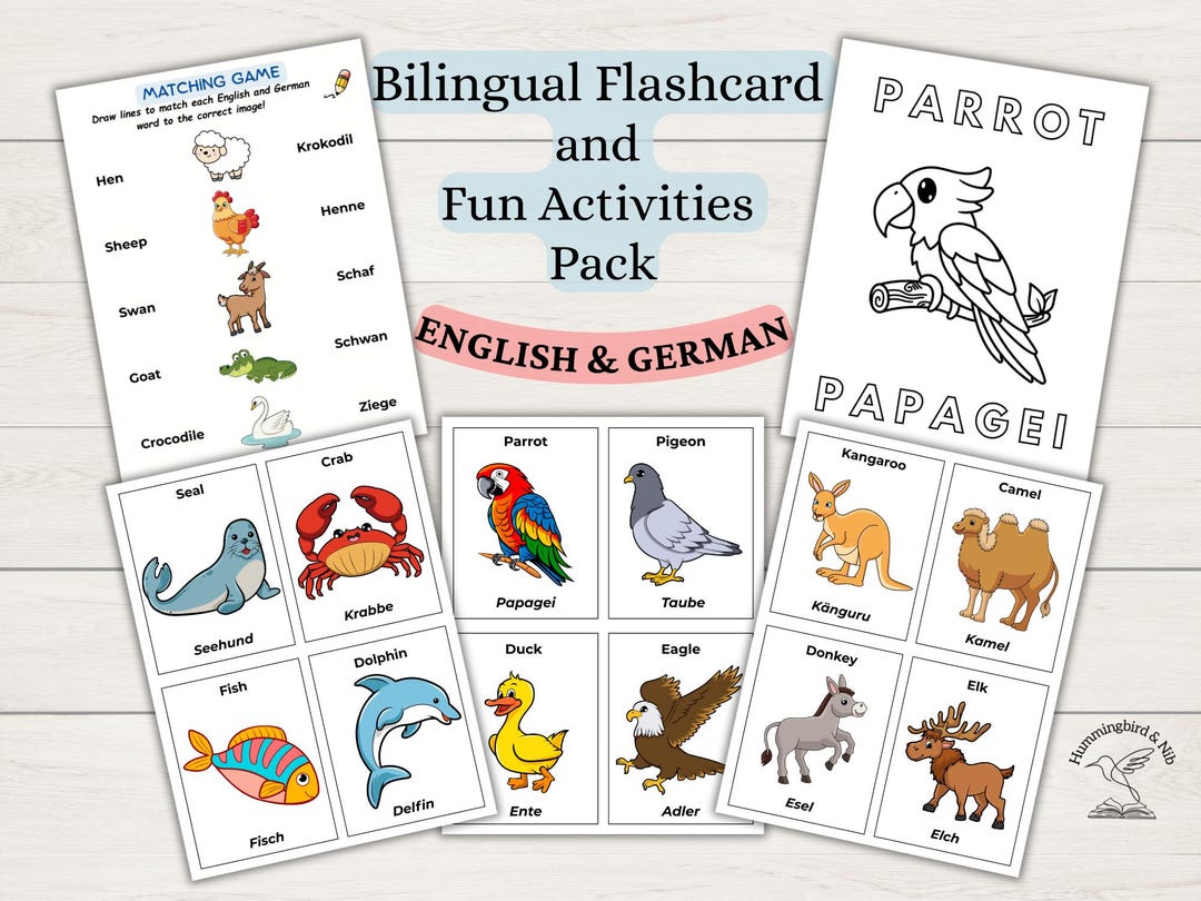 Bilingual German English Flashcards & Activities Pack | Printable for ...