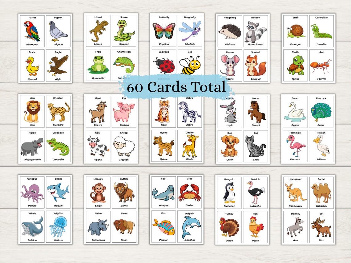 Bilingual French English Flashcards & Activities Pack | Printable for ...