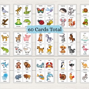 Bilingual French English Flashcards & Activities Pack | Printable for ...