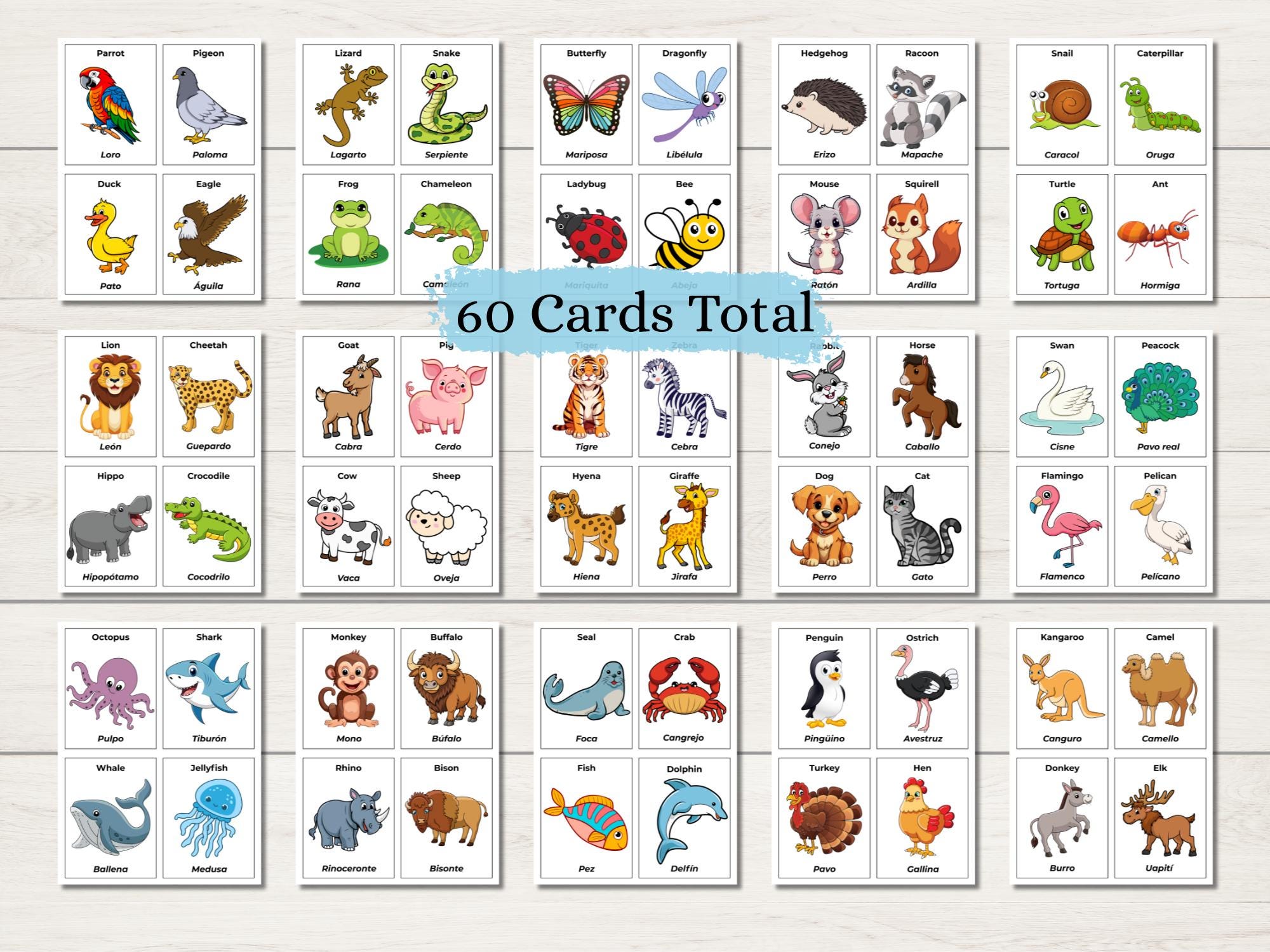 Bilingual Spanish English Flashcards & Activities Pack | Printable for ...