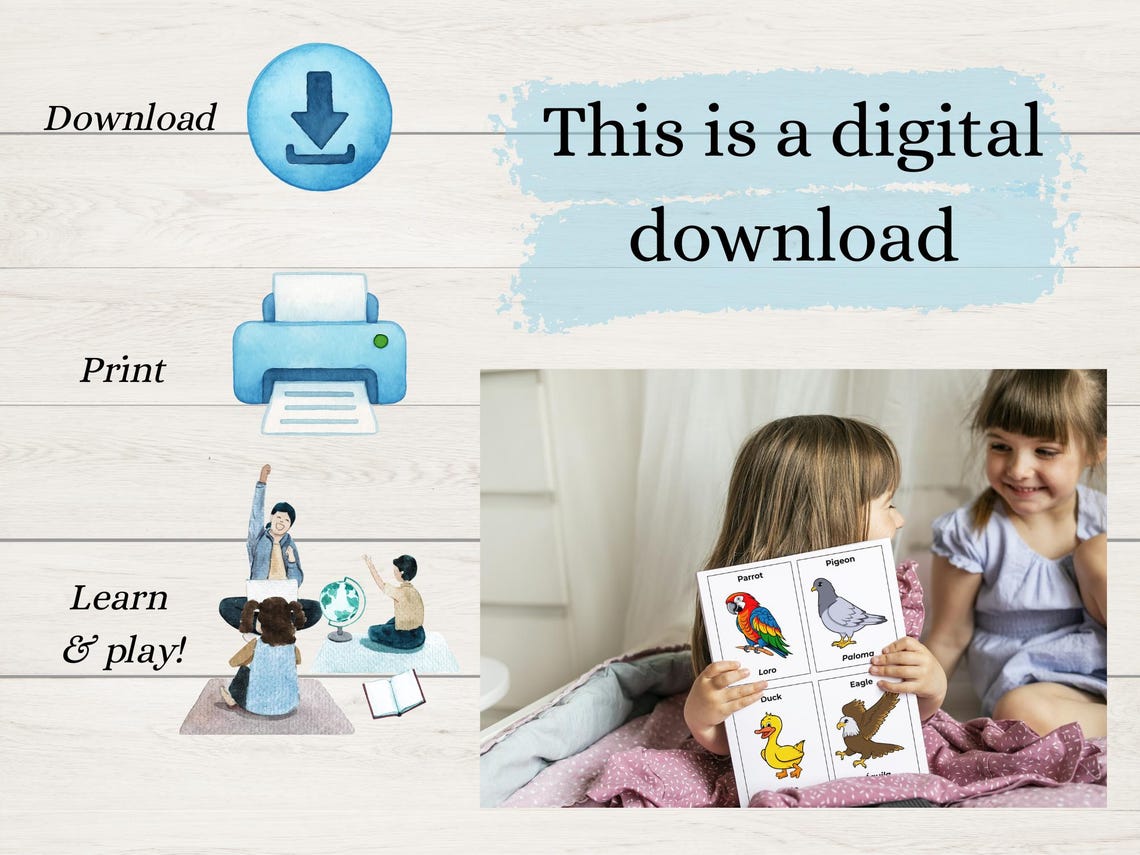 Bilingual French English Flashcards & Activities Pack | Printable for ...