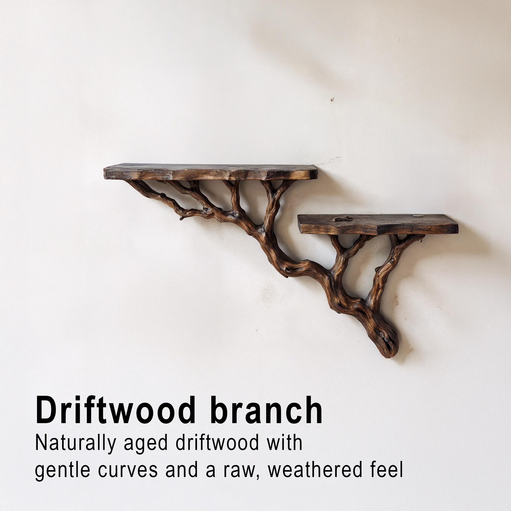 Tree Floating Shelf Art Driftwood Branch Bookshelf Wall Mounted Solid ...