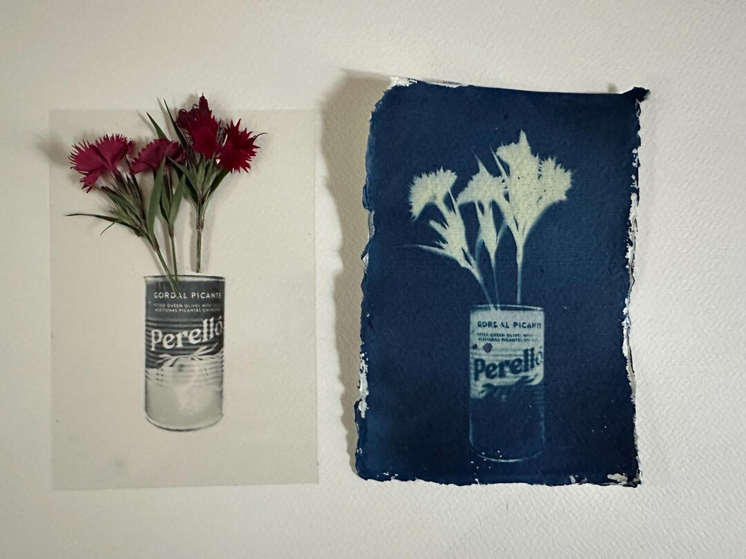 A6 Cyanotype Kit | Pre-coated Sun Print Paper and Frame | Something ...