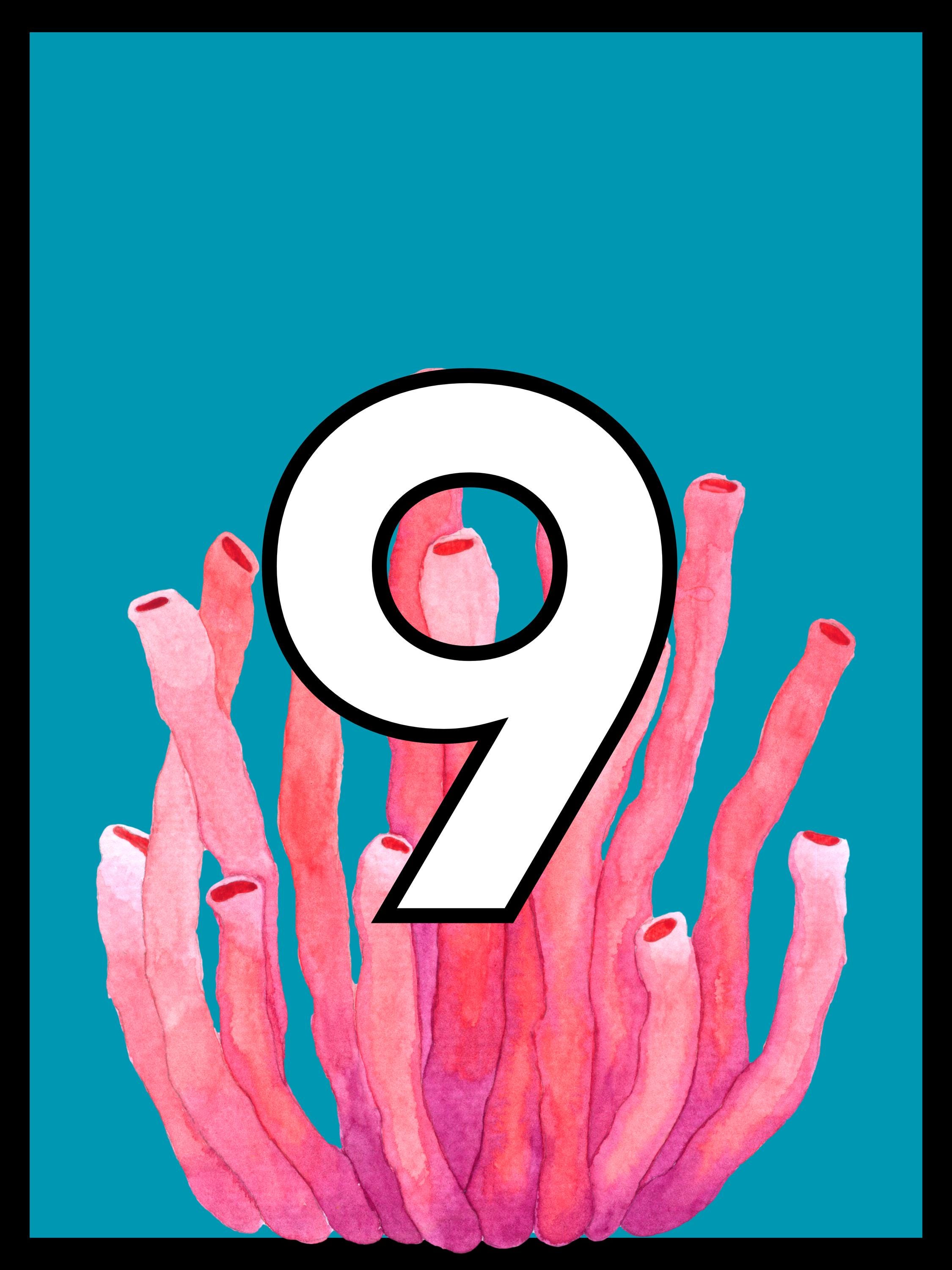 Number Line Posters - Under the Sea - Etsy