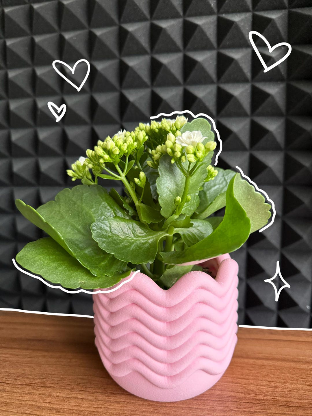Wavy Flower Planter: Pink Succulent Pot, Modern Indoor Decor - Etsy