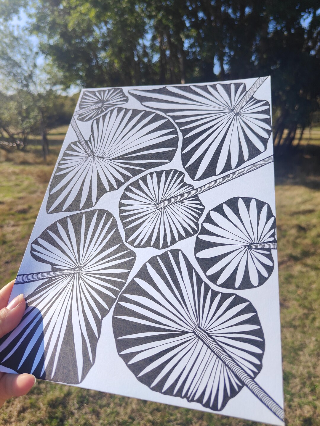 Prints Set of Posters With Fine Line Drawings of Trees Seen From Below ...