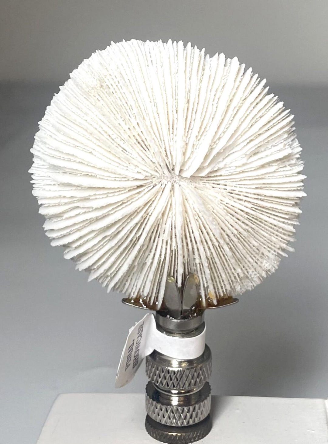 Finials Nautical White Coral Coastal Lamp Shade Finial - Etsy